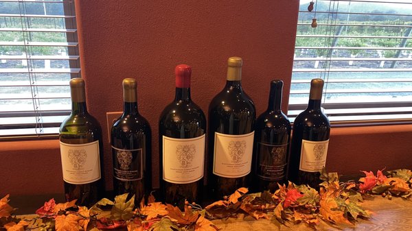 KAPCSANDY FAMILY WINERY - Updated August 2025 - 10 Photos - Yountville ...