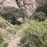 SOLEDAD CANYON LOOP - 42 Photos - Soledad Canyon Rd, Las Cruces, New ...