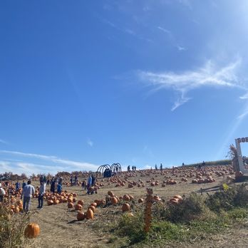 SOERGEL ORCHARDS & GARDEN CENTER - 342 Photos & 173 Reviews - 2573 ...