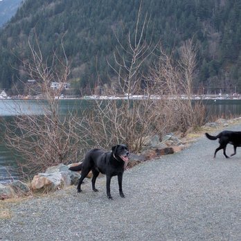 HARRISON PUBLIC POOL - Updated May 2025 - 23 Photos & 23 Reviews - 224 ...