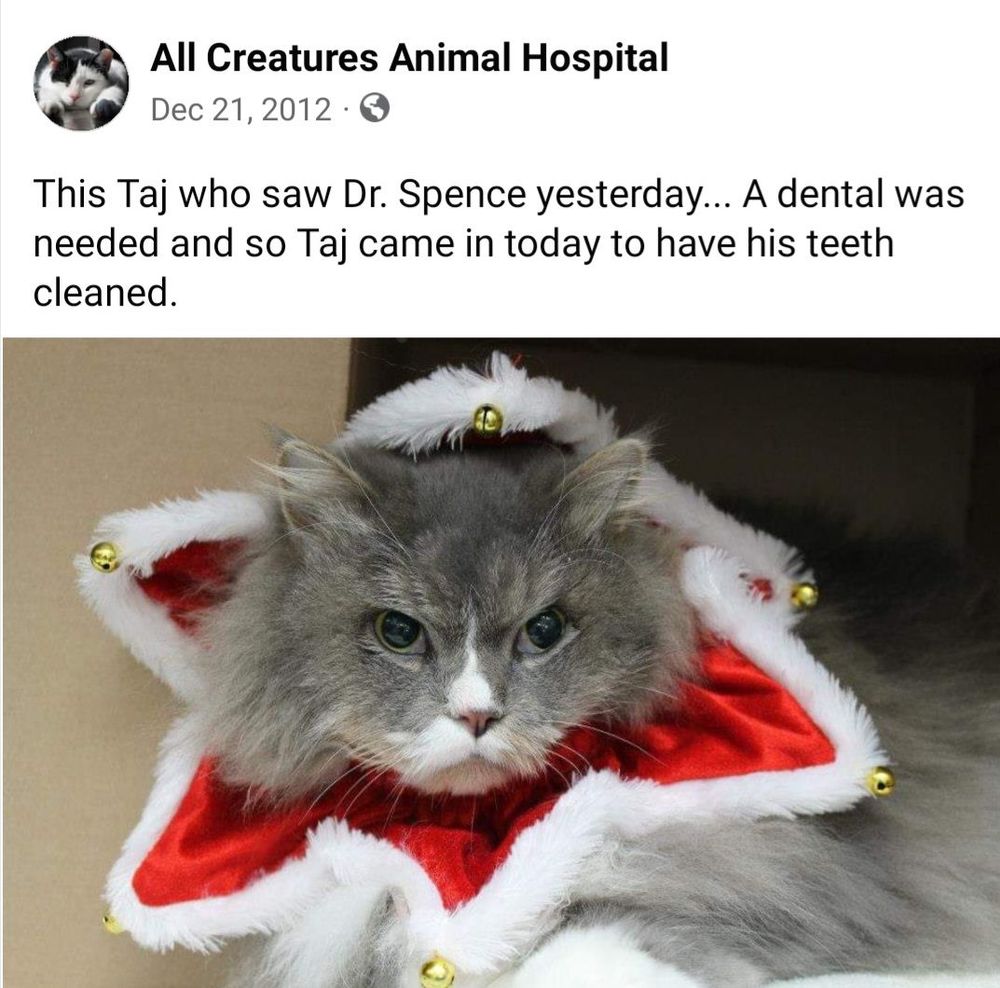 ALL CREATURES ANIMAL HOSPITAL - Updated September 2025 - 26 Photos & 69 ...