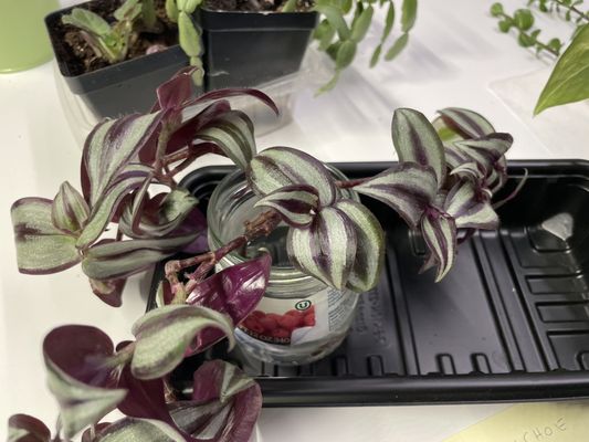 ROBERT CROWN COMMUNITY CENTER AND LIBRARY - Updated December 2025 - 32 ...