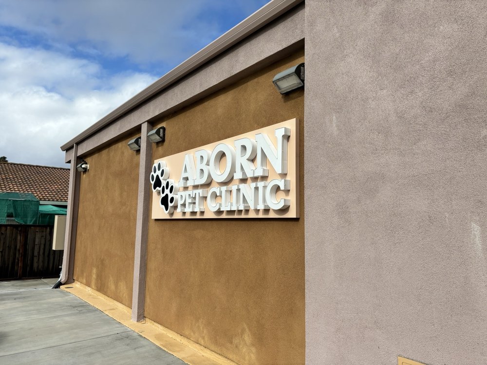 ABORN PET CLINIC - Updated May 2026 - 409 Photos & 850 Reviews - 2525 ...