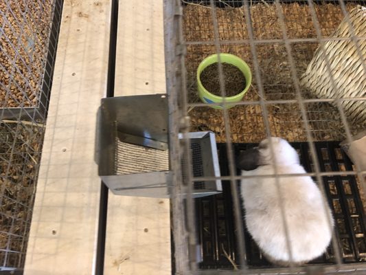 PURINA FARMS - 105 Photos & 41 Reviews - Attraction Farms - 500 William ...