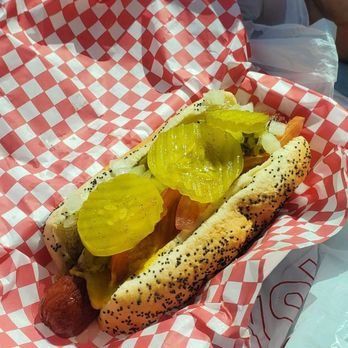 MUGSY DOGS - GILBERT - Updated September 2025 - 195 Photos & 329 ...