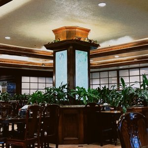 YANK SING - 70 Photos & 123 Reviews - 1705 E Central Texas Expy ...