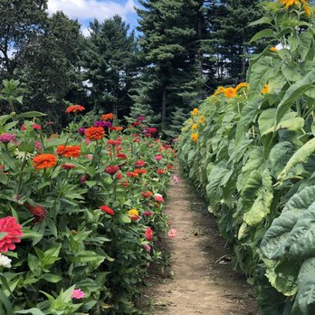 PARLEE FARMS - Updated August 2025 - 296 Photos & 147 Reviews - 95 ...