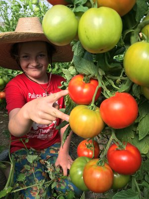 SWORE FARMS - 30 Photos - 225 Ballard Rd, Pocatello, Idaho - Farms ...