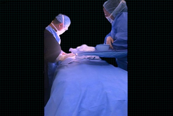 DAVID WU, MD - Updated January 2026 - 25 Photos & 117 Reviews - 1408 ...