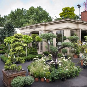 BIRCHEN GROVE GARDEN CENTRE - Updated May 2025 - Birchen Grove, London ...