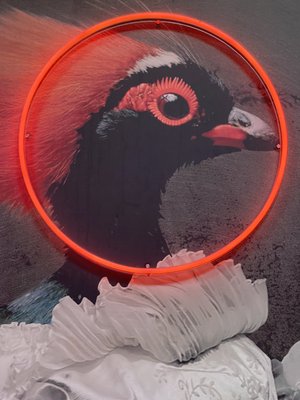 PASHA SF - 16 Photos - 673 Geary St, San Francisco, California ...