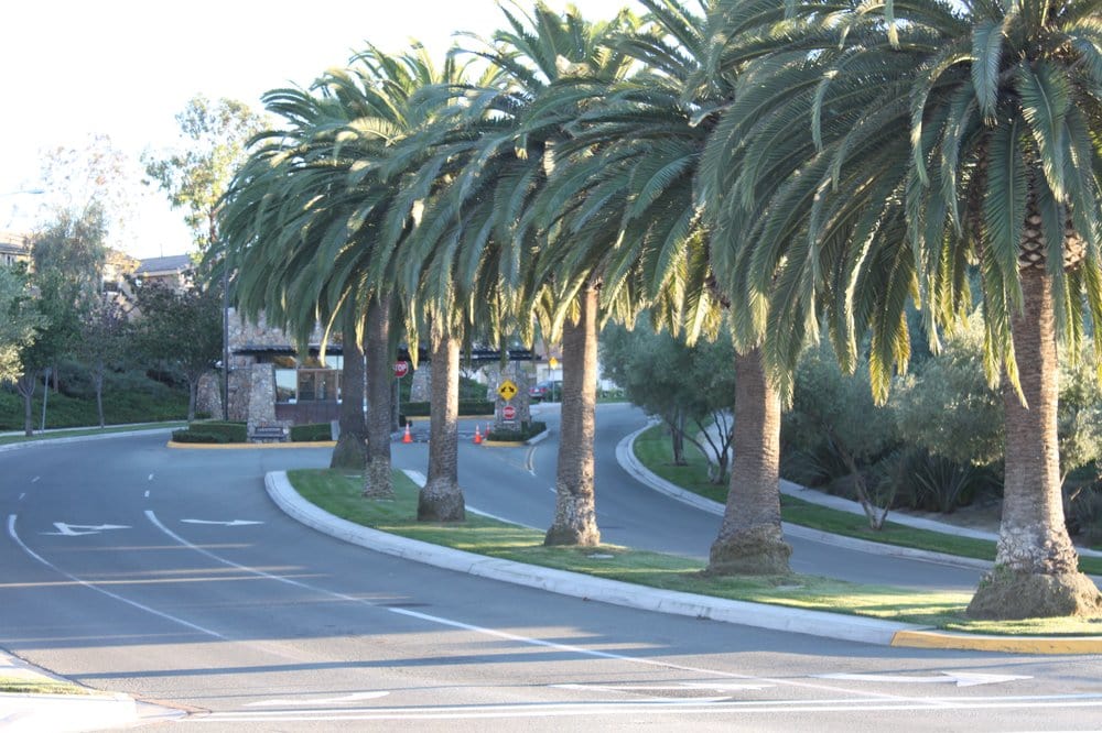 Same Day Service at Otay Ranch Five Community Association - Updated ...