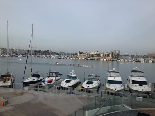 MARINA MARKET - Updated October 2025 - 20 Reviews - Marina del Rey ...