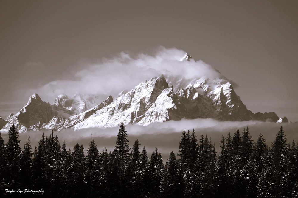 TAYLOR LYN PHOTOGRAPHY - 15 Photos - Jackson, Wyoming - Event ...