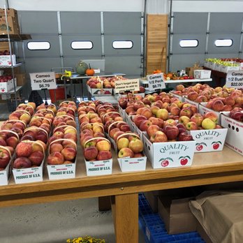 LEWIS ORCHARDS - Updated August 2024 - 87 Photos & 51 Reviews - 18900 ...