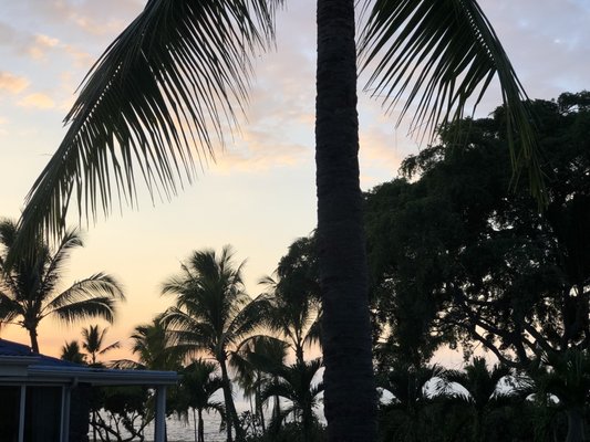 HOLUA RESORT AT MAUNA LOA VILLAGE - 108 Photos & 67 Reviews - Resorts ...