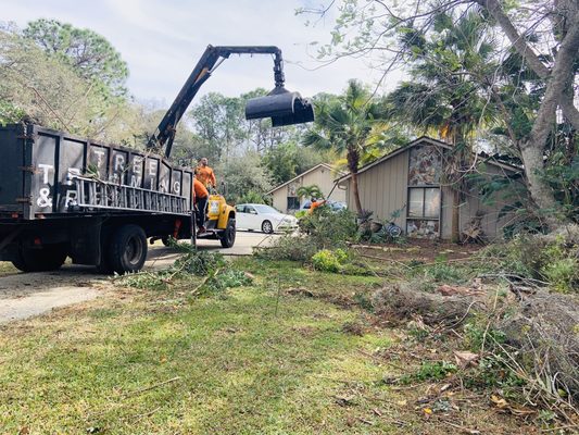 TROYER TREE SERVICE - Updated October 2025 - 77 Photos & 12 Reviews ...