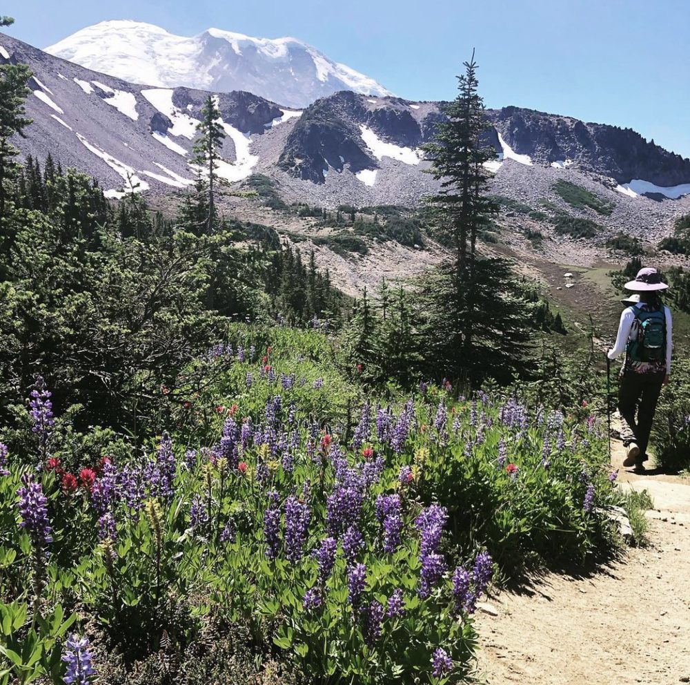 DERON SCOTT - Updated April 2025 - Contact Agent - New York, New York ...