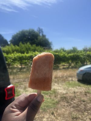 JOHNSON U-PICK FARM - Updated November 2025 - 103 Photos & 15 Reviews - 113 Higgins Ave, Gridley ...