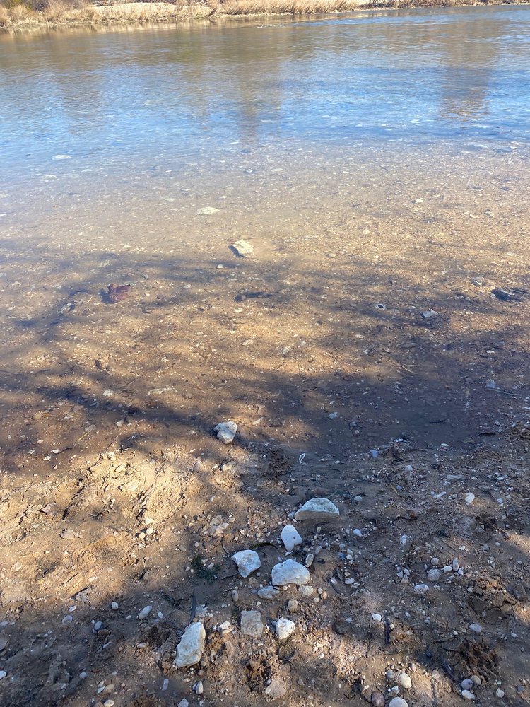 ROY G GUERRERO COLORADO RIVER PARK - Updated December 2024 - 44 Photos ...
