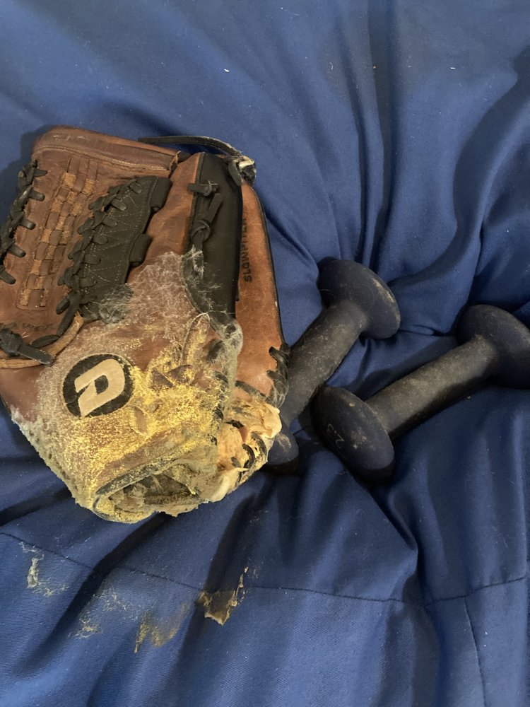 MERIDIAN MANAGEMENT GROUP - Updated December 2025 - 20 Photos & 57 ...