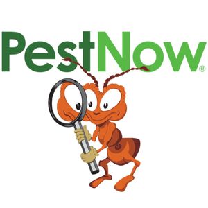 ARTERIX PEST CONTROL - Updated July 2024 - 28 Photos & 184 Reviews ...