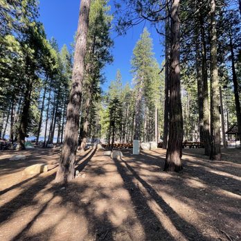 PINECREST CAMPGROUND - Updated June 2025 - 160 Photos & 69 Reviews - 18 ...