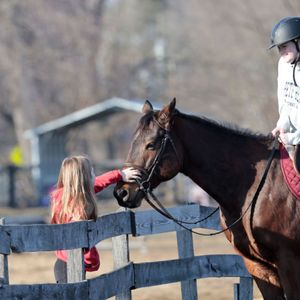 TRUE HEART STABLES - Updated December 2025 - 25 Photos - 1905 River Rd ...