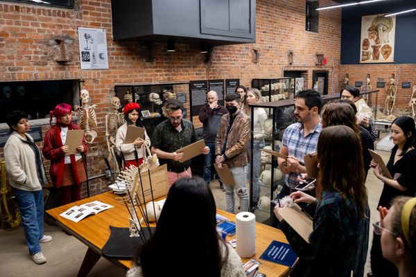 THE BONE MUSEUM - Updated May 2025 - 27 Photos & 11 Reviews - 255 ...