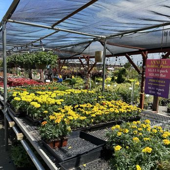 Gardening/Nurseries - Yelp