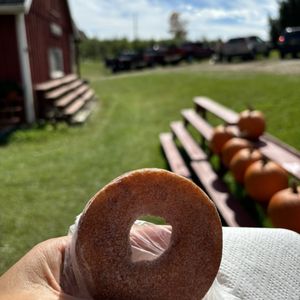 WINDY HILL ORCHARD - Updated April 2025 - 53 Photos & 14 Reviews - 1297 ...