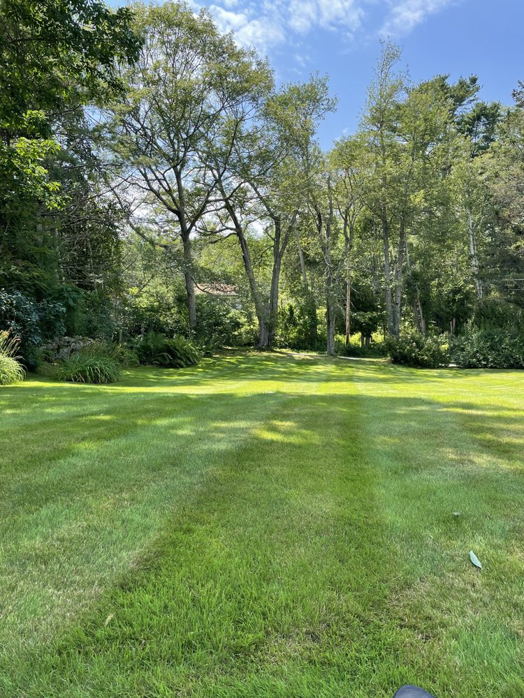 TURF DOCTOR LAWN & PEST SERVICES - Updated May 2024 - 60 Industrial Dr, Augusta, Maine - Pest ...