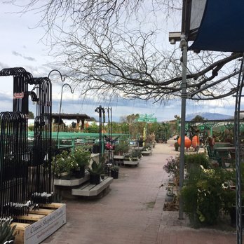 MESQUITE VALLEY GROWERS NURSERY - Updated July 2025 - 627 Photos & 249 ...