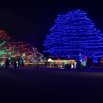 ROSE TREE PARK - Updated January 2026 - 347 Photos & 31 Real Reviews ...