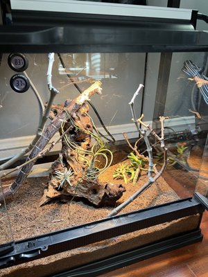 PREDATOR’S REPTILE CENTER - Updated October 2025 - 74 Photos & 147 ...