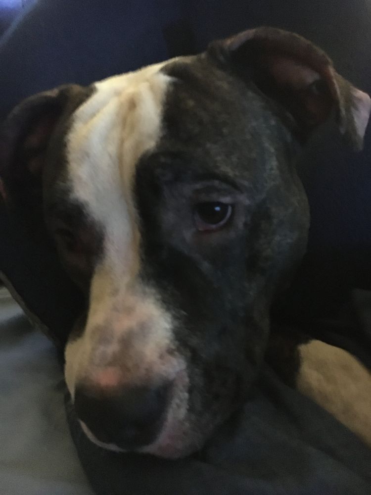 BENJI’S HAIR EATING SALON - Updated March 2025 - Request an Appointment ...