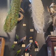 PAXTON GATE - 401 Photos & 491 Reviews - 824 Valencia St, San Francisco ...