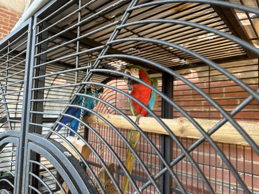 JUNGLE BOX - Updated May 2025 - 117 Photos & 34 Reviews - 1735 E ...