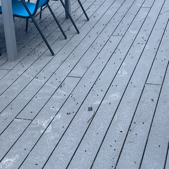 SUNBURST INN - Updated January 2026 - 43 Photos & 23 Reviews - 19204 ...