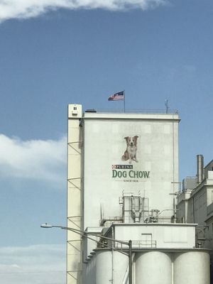 NESTLE PURINA PETCARE COMPANY - Updated January 2026 - 4555 York St ...