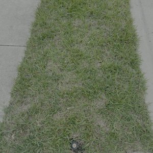 MCCALL PEST & WILLDIFE - Updated June 2025 - 53 Reviews - 2861 College ...