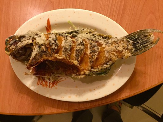 SPRING CHINESE KITCHEN - Updated July 2024 - 52 Photos & 11 Reviews - S ...