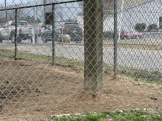 NARROWAY PRODUCTIONS - Updated January 2026 - 66 Photos & 46 Real ...