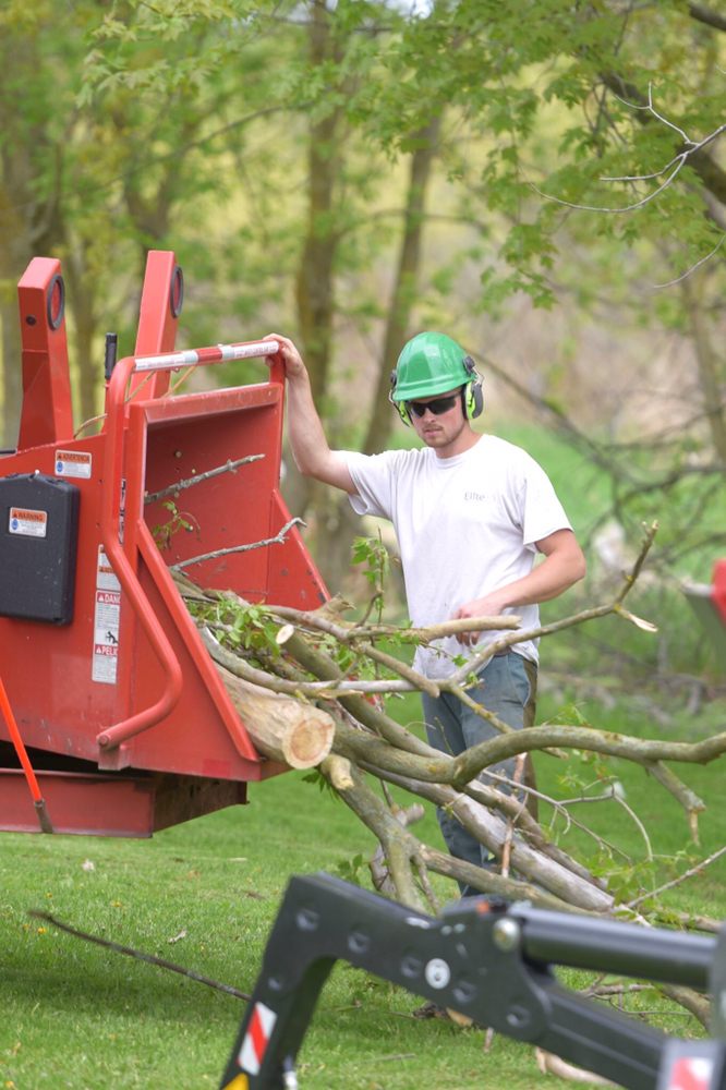 A PLUS TREE SERVICE - Updated September 2024 - 37 Summerhill Road ...