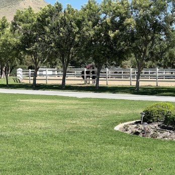 THE FARM IN NORCO - Updated November 2025 - 59 Photos & 20 Reviews ...