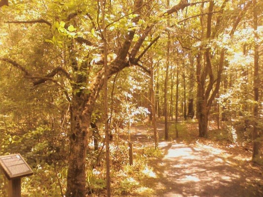 CLINTON COMMUNITY NATURE CENTER - Updated December 2025 - 617 Dunton Rd ...