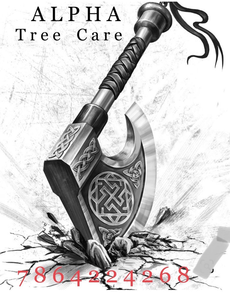 ALPHA TREE CARE - Updated July 2024 - 19 Photos - 2951 SW 21st Ter ...