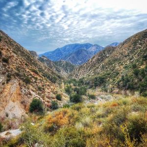TRAIL CANYON FALLS - 409 Photos & 94 Reviews - Hiking - Trail Canyon Rd ...