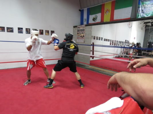 DANNY RIZZO PRO BOXING CLUB - Updated October 2025 - 1396 Santa Rosa ...
