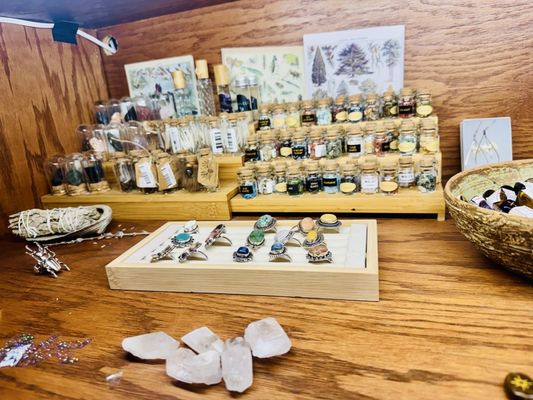 THE INSECT ASYLUM - Updated December 2025 - 65 Photos & 15 Reviews ...